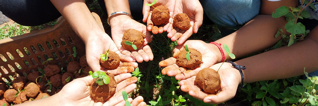 GreenFriends - Amma.org